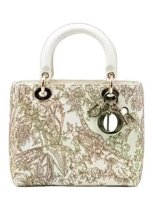 DIOR 2022 Medium Embroidered Jardin D Hiver Lady Dior Satchel