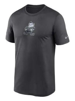 Nike Cleveland Browns Team Issue Legend Dri-fit Nfl T-shirt - Grey