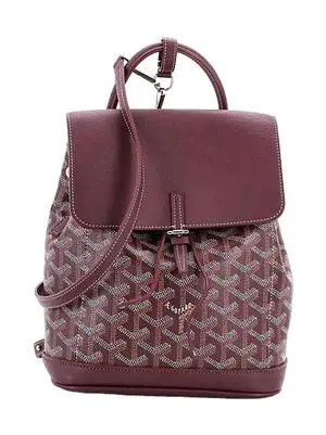Goyard Alpin Backpack Coated Canvas - Red