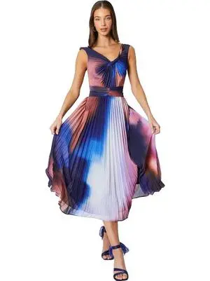 Coast Printed Pleated V-neck Midi Dress - Multi