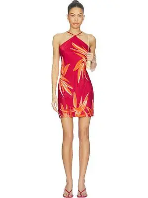 Rococo Sand Bias Halter Mini Dress - Red