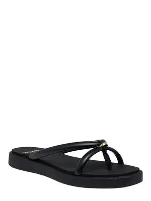 Sanuk Cove Haven Strappy Flat Sandal - Black