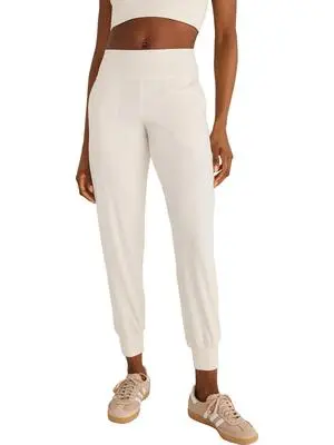 HAVEN WELL WITHIN Balance Joggers - Light Stone