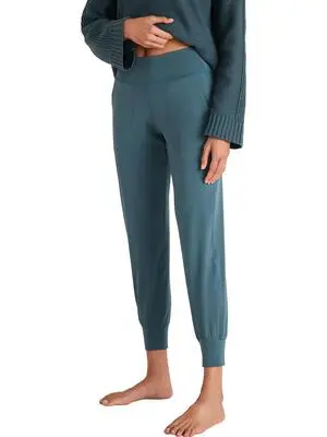 HAVEN WELL WITHIN Haven Well Within Balance Ankle Length Joggers Neptune