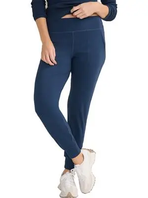 HAVEN WELL WITHIN Balance Joggers - Twilight