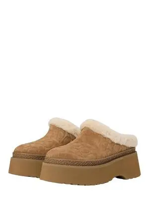 COACH COACH Cecelia Clog In Signature Suede With Shearling Lining