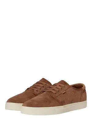 Toms Carlo 2.0 Lace-up Casual Sneakers - Brown