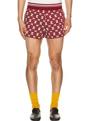 Dries Van Noten Hegg Shorts - Burgundy