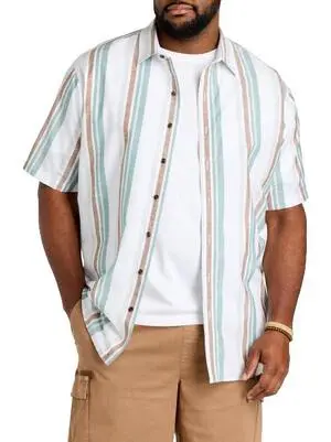 TRUE NATION BY DXL Big & Tall Striped Sport Shirt - Multi