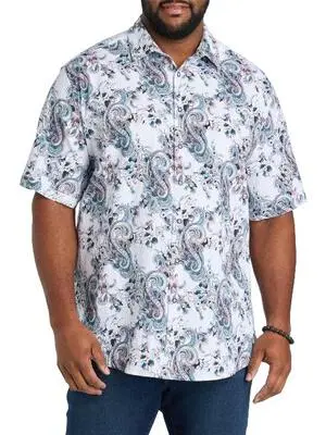 ROBERT GRAHAM BY DXL Big & Tall Pickwick Sport Shirt - Multi