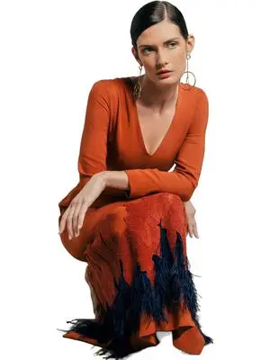 PAULA S Choice Sakura Cinnamon Stick Embroidered Long-sleeved Maxi Dress With Feathers - Orange