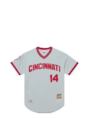 Mitchell & Ness Pete Rose Cincinnati Reds 1976 Authentic Jersey - Gray