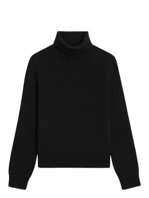 Celine Turtleneck Sweater In Scottish Cashmere - Black
