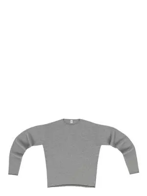 Extreme Cashmere Round Neck Long Sleeve Sweater - Gray