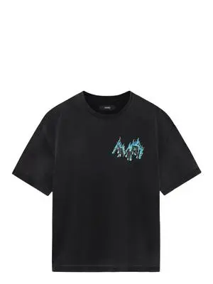 Amiri Crystal Flames T-shirt - Black