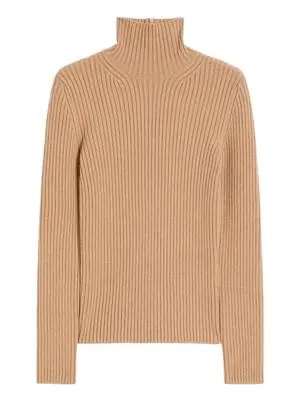 Max Mara Max Mara Aral High-Neck Jumper No