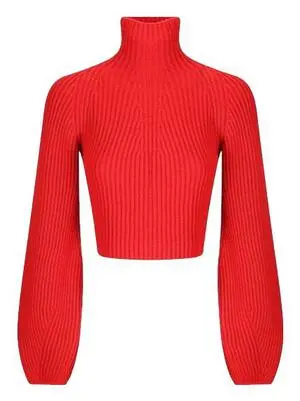 Sportmax Ribbed Turtleneck Sweater - Red