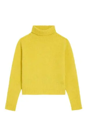 Celine Turtleneck Sweater In Shetland Wool - Yellow