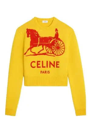 Celine Crewneck Sweater In Cashmere - Yellow/red