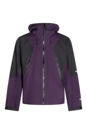THE NORTH FACE The North Face Paneled Hooded Jacket