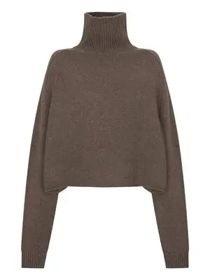 LISA YANG Roll-neck Long-sleeve Cropped Sweater - Brown