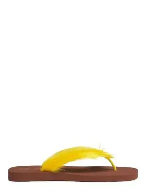 Marni Feather Embellished Flip Flop Sandals - Brown