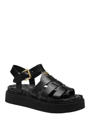 COACH OUTLET Coach Signature Jacquard Lug Sole Sandal - Black/smoke
