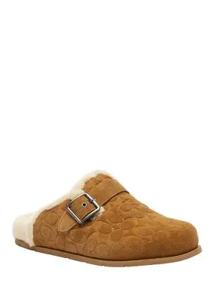 COACH OUTLET Coach Signature Suede Buckle Clog - Tobacco
