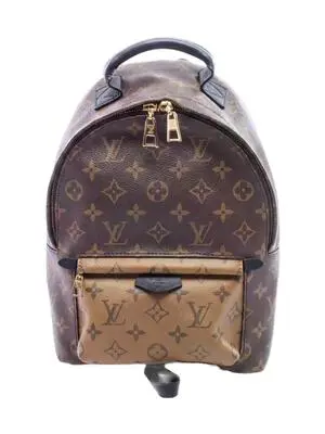 LOUIS VUITTON Monogram Palm Springs Backpack - Brown