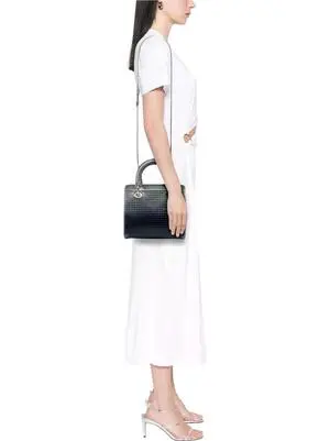 Dior Christian Dior Lady Dior Satchel Silver