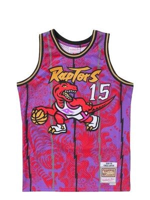 Mitchell & Ness Nba 98-99 Toronto Raptors Vince Carter Jersey - Multi-color