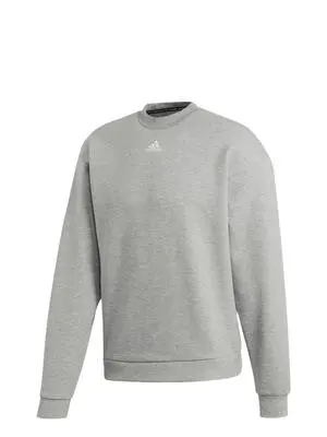 Adidas Logo Crewneck Sweatshirt - Default Colorway