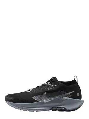 Nike Pegasus Trail 5 Gore-tex Sneakers - Black/wolf Grey
