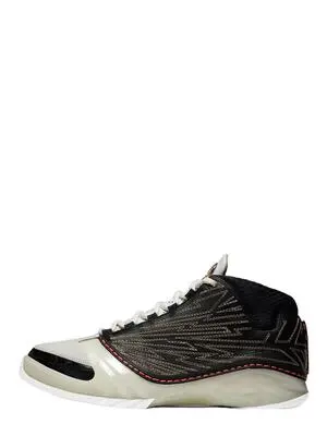 JORDAN Titan X Air 23 Retro Sp '10th Anniversary' Sneakers - Black/sail/white