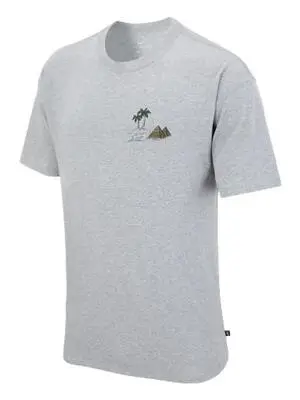 NIKE Nike Sb Sphynx Tee 'grey'