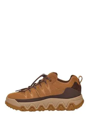 UGG Captrail Low Sneakers - Tan Brown