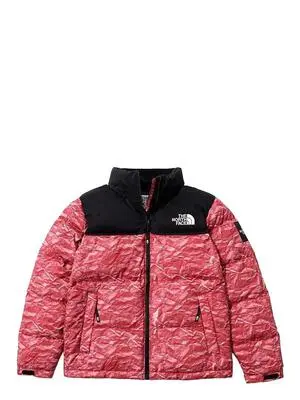 The North Face Novelty Nuptse Down Jacket - None