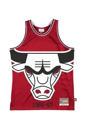 Mitchell & Ness Chicago Bulls 1966-67 Basketball Vest - Default Color