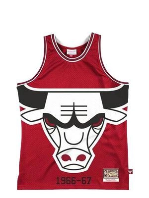 Mitchell & Ness Chicago Bulls 1966-67 Basketball Vest - Default Color