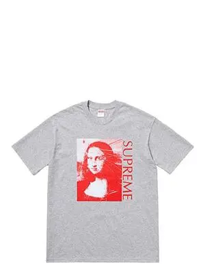 Supreme Ss18 Mona Lisa Tee Heather Printing Short Sleeve Gray - Grey