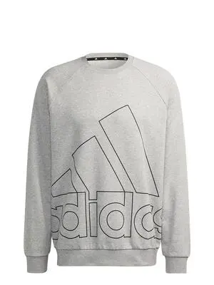 Adidas Big Lo Sweatshirt With Logo Printing - Light Grey