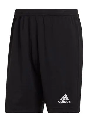 Adidas Solid Color Logo Printing Straight Casual Shorts - Default Color