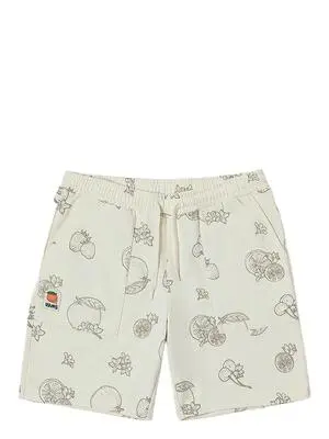 VANS Graphic Knit Shorts - White