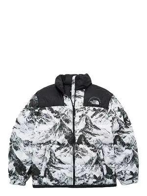 The North Face THE NORTH FACE FW22 Down Jacket None