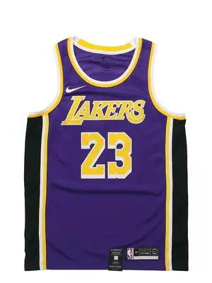 Nike Nike LeBron James Statement Edition Jersey Purpleyellow
