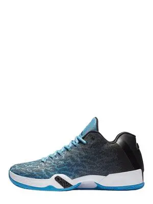 JORDAN Air 29 Low 'unc - Blue