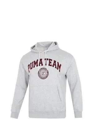 PUMA Team Hoodie - Grey/burgundy