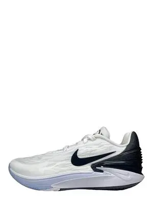 Nike Nike Air Zoom GT Cut 2 TB Sneakers White/black/white