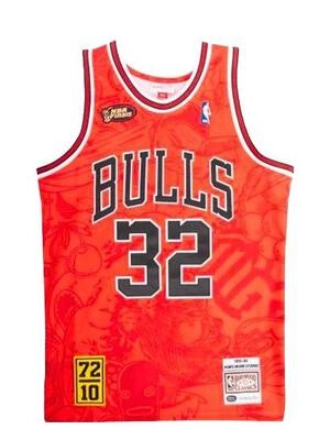 Mitchell & Ness Mitchell & Ness NBA X Hebru Brantley 95-96 32 Basketball Vest Default Colorway
