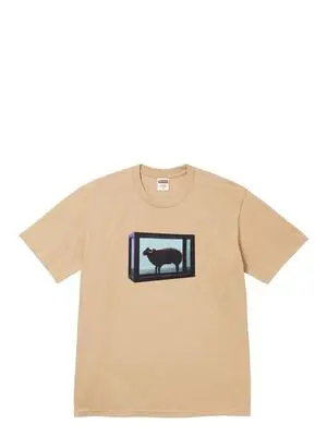 Supreme X Damien Hirst T-shirt - Khaki